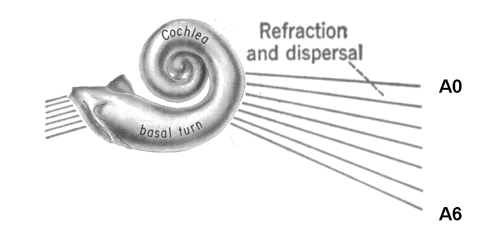 The Dispersive SAW-based Cochlear Partition